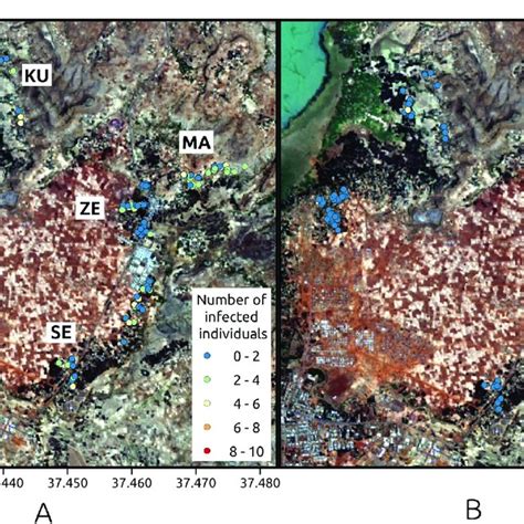 Map Of The Number Of The Hookworm Infected Individuals Predicted A Download Scientific