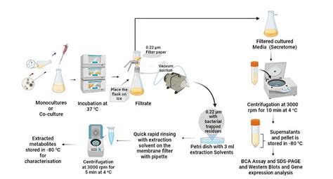 Methods And Protocols Mdpi On Linkedin Free Methods Protocols Gutbacteria Fattyacids