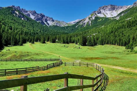 알프스 산맥 산 골짜기 Pixabay의 무료 사진