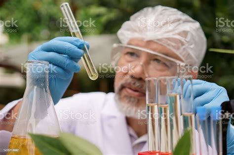 과학자들은 식물 기반 의약품을 연구합니다 천연 유기 추출 및 유리 제품의 과학은 대체 한약 스킨 케어 미용 제품을 만들기 위해 실험실 개념 및 개발 55 59세에 대한 스톡