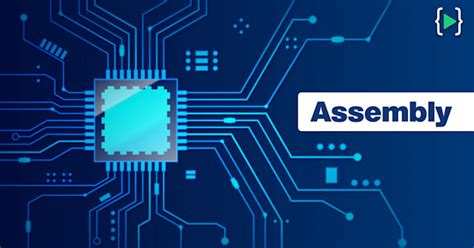 Help You With Assembly Programming By Brotherisimo Fiverr