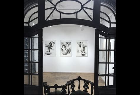 Interviu Artista Vizuală Marcela Rădulescu Despre Desen și