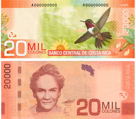 La Belleza De Los Colones Y Su Significado Pura Vida University
