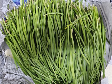 부추비빔밥 조인성 레시피 노지부추 가성비 최고