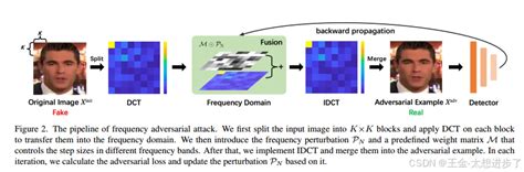 exploring frequency adversarial attacks for face forgery detection——探索