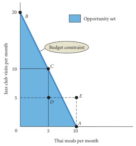 Julian Microecon Midterm 2 Part 2 Flashcards Quizlet