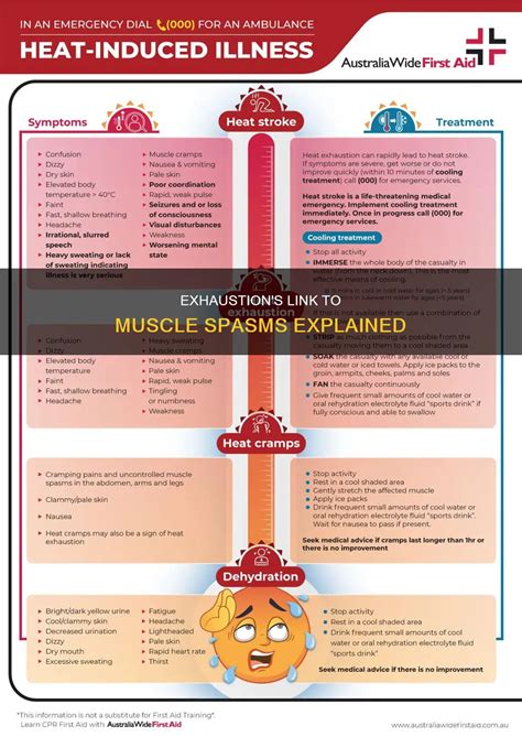 Exhaustions Link To Muscle Spasms Explained Cyvigor