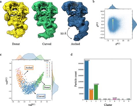 Cryodrgn Heterogeneous Reconstruction Of Saga A Cryodrgn