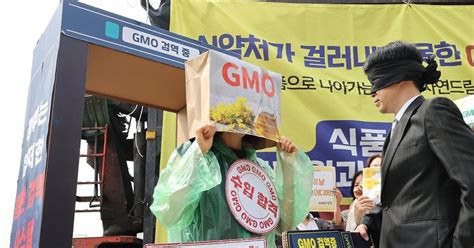 Gmo 검역 통과하는 Gmo 작물
