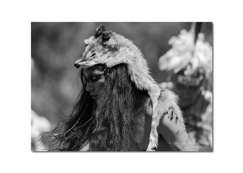 Pow Wow Dancer Fáunicas