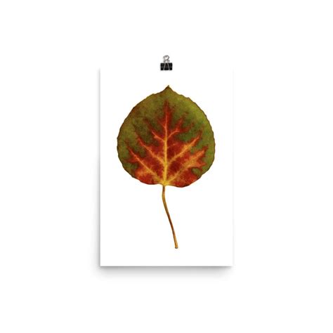 Aspen Leaf Art Print Aspen Leaf Poster Fall Poster Fall Wall Art