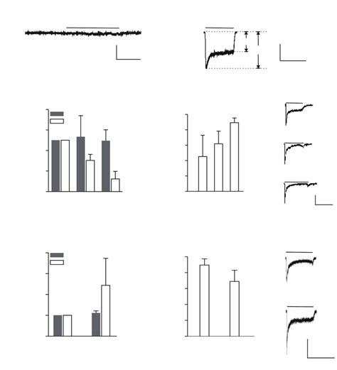 Abpp Modulated Nmda Evoked Current Differentially In Cultured