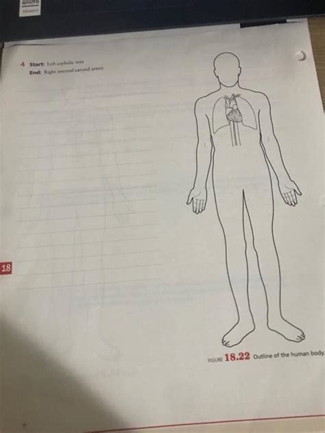Solved I Need Help Tracing The Blood Flow Through Various Chegg