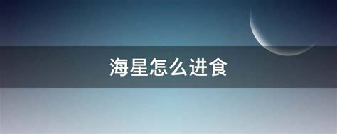 海星怎么进食 业百科