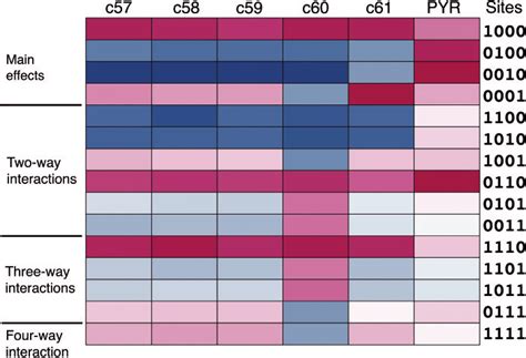 Heat Map Of Main Effects And Epistatic Interactions Of The Amino Acid