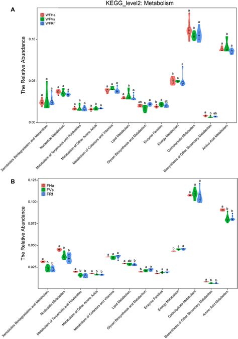 The Relative Abundance Of Microbial Functions Related To Metabolism Download Scientific Diagram