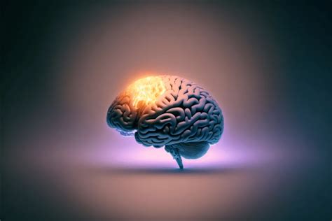 5 Best Programming Languages For Game Development App Academy