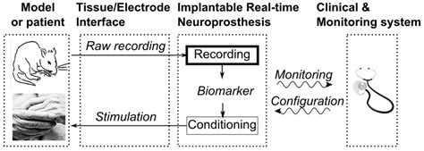 Schematic Representation For A Future Implantable Closed Loop Real Time Download Scientific