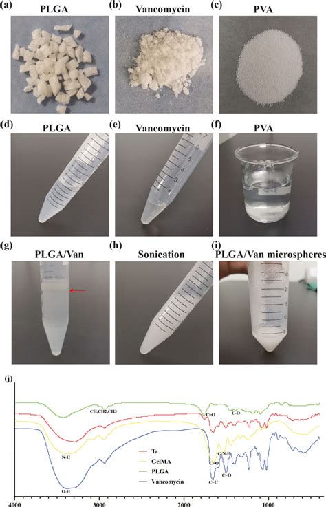 Fabrication Bacteriostasis And Osteointegration Properties Researches