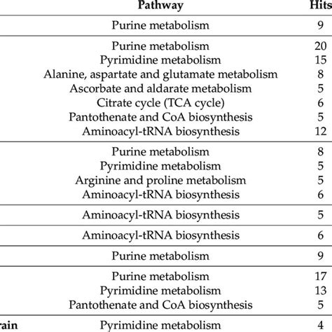 Relative Impact Of Sex Strain And Sex By Strain Interactions On Download Scientific Diagram