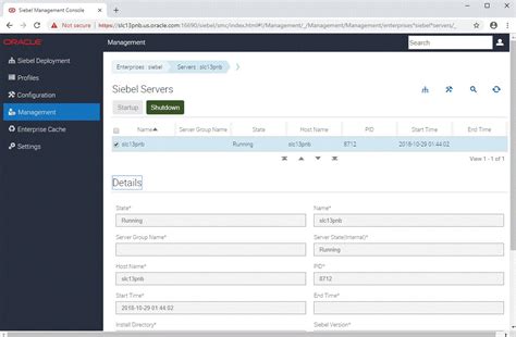 Siebel 2018 Managing The Siebel Deployment