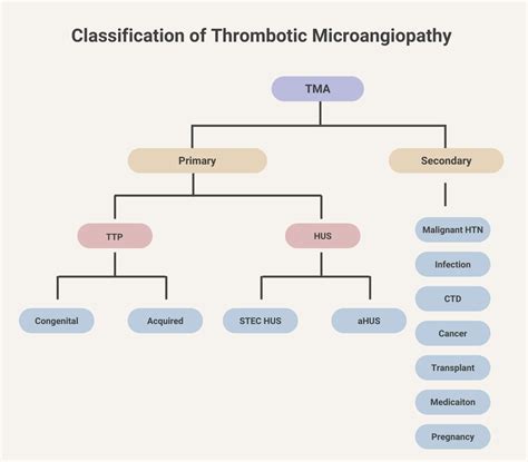 What Are Thrombotic Microangiopathies The Blood Project