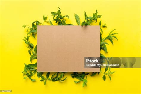 빈 종이로 만든 화환 프레임은 텍스트를위한 공간과 컬러 배경에 박하 잎이 있습니다 민트 패턴 플랫 레이 위쪽 보기 0명에 대한 스톡 사진 및 기타 이미지 Istock