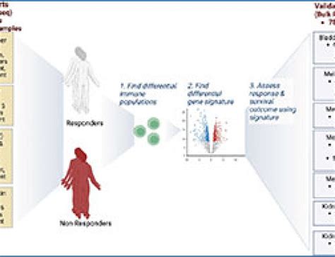 Altanlayze Bulk And Single Cell Rna Seq Tutorial Rna Seq Blog