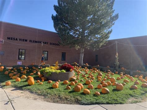 Mesa View Elementary Pto