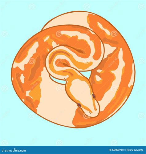 Ball Python Vector Art Stock Illustration Illustration Of Combination