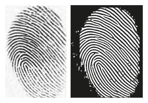 Input Fingerprint Image Left And Binarized Image Right Download
