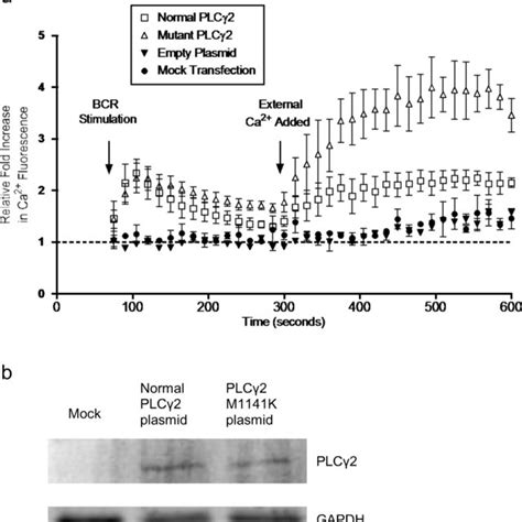 Cutaneous Manifestations Of Plcg2 Mutation Various Polymorphic