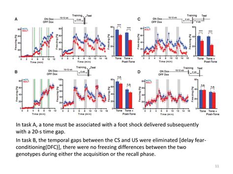Ppt Entorhinal Cortex Layer Iii Input To The Hippocampus Is Crucial For Temporal Association