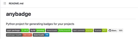 Guide For The Use Of Anybadge With Github Action And Aws For Generating
