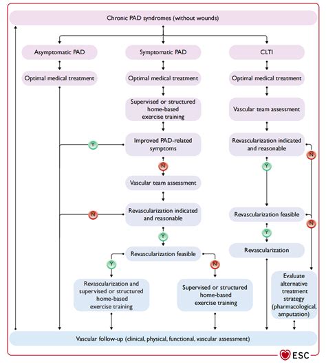 早读 Esc最新指南：外周动脉和主动脉疾病管理指南一文速览！ 好医术文章 好医术 赋能医生守护生命