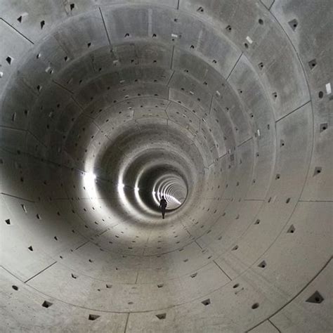 Two Paths Muted Science