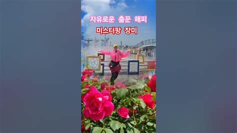 미스터팡 장미 라인댄스 Shorts 미스터팡 장미 라인댄스 월미도 Youtube