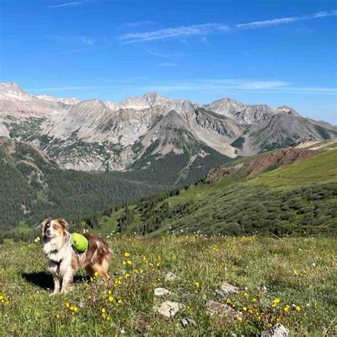 Four Pass Loop Farout