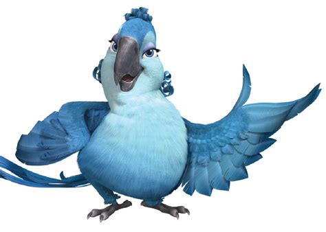 White Parrot Bird From Rio