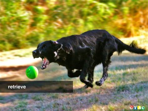 Gtac Atompub Testing Your Server Implementation Zip Web Design