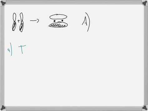 Solved Question 3 When The Two Atomic Orbitals Are Centered On Different Atoms And The Two