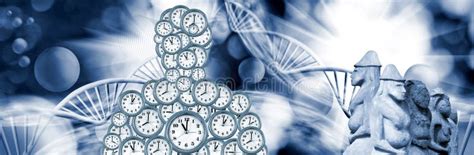 The Timeless Journey Of Humanity Through Genetic Evolution Stock