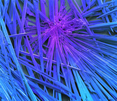 Antibiotic Crystal Sem Stock Image C0584969 Science Photo Library