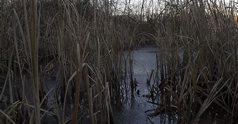 Nikon D3200 First Go Album On Imgur