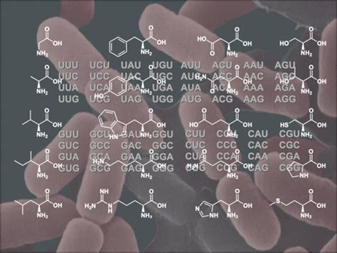 How Organic Synthesis Can Create New Macromolecules Gagan Kukreja Posted On The Topic Linkedin