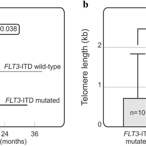 The Effect Of The Presence Of Flt3 Itd Mutation On Telomere Length And Download Scientific