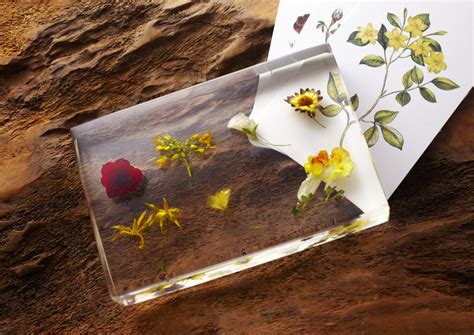 Asterite® Acrylic Applications Acrylic Embedments Asterite®