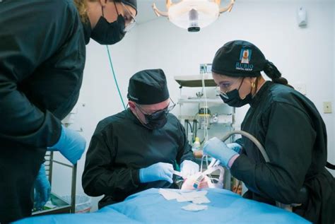 The Costs Of Root Canals And Crowns In Mexico Best Prices