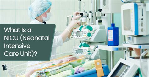 What Is A Nicu Neonatal Intensive Care Unit