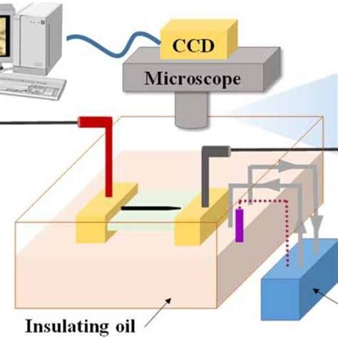 Schematic Diagram Of Electrical Tree Observation System Download Scientific Diagram